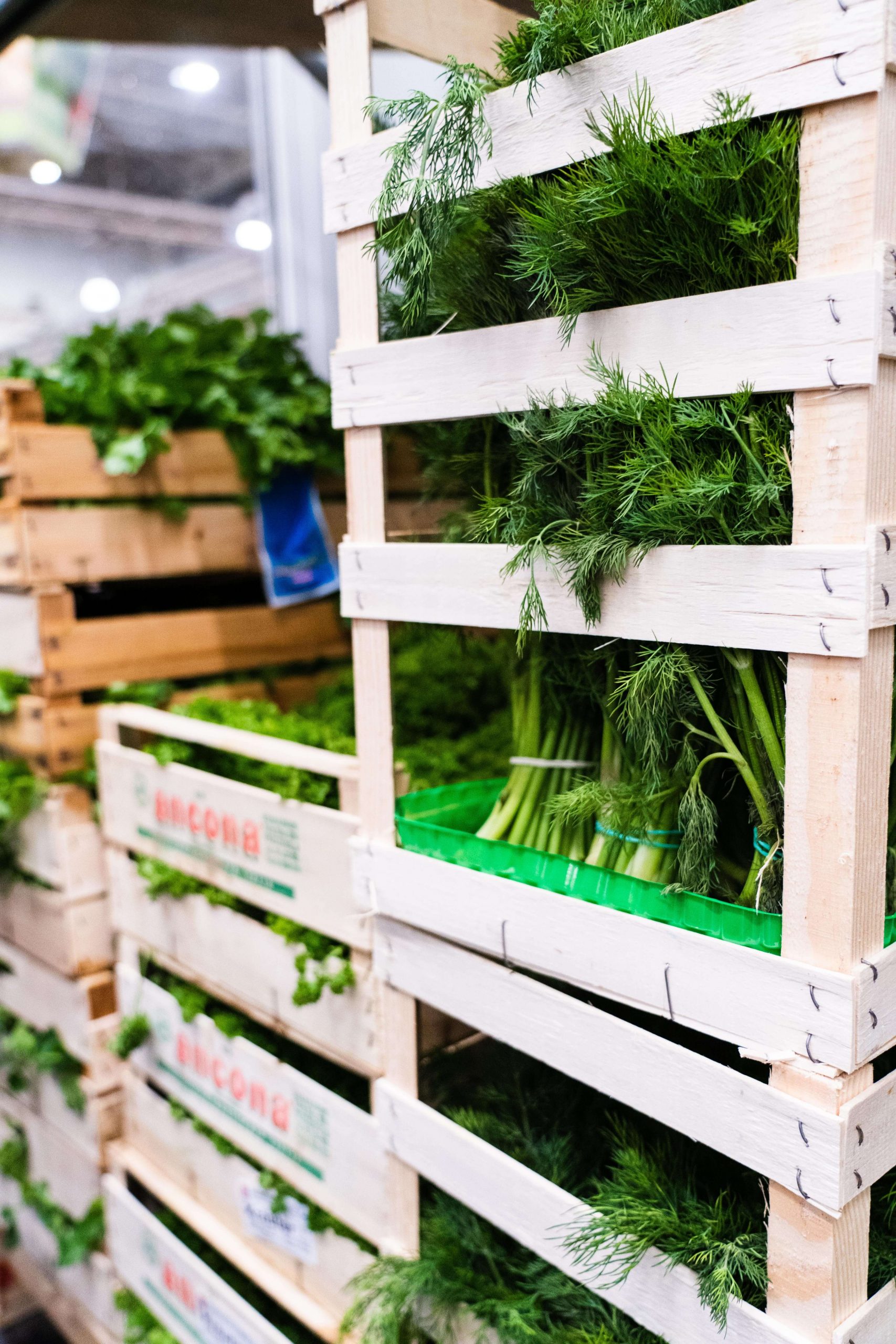 Gemüse, Kressen & Kräuter | Lindnerfood